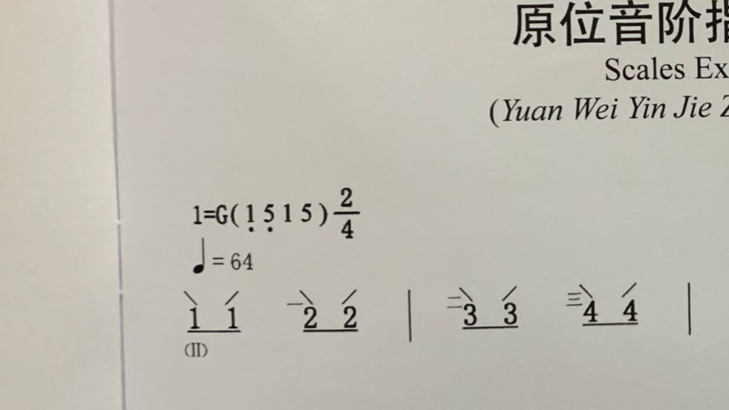 How to Tune Zhongruan Pipa Liuqin
